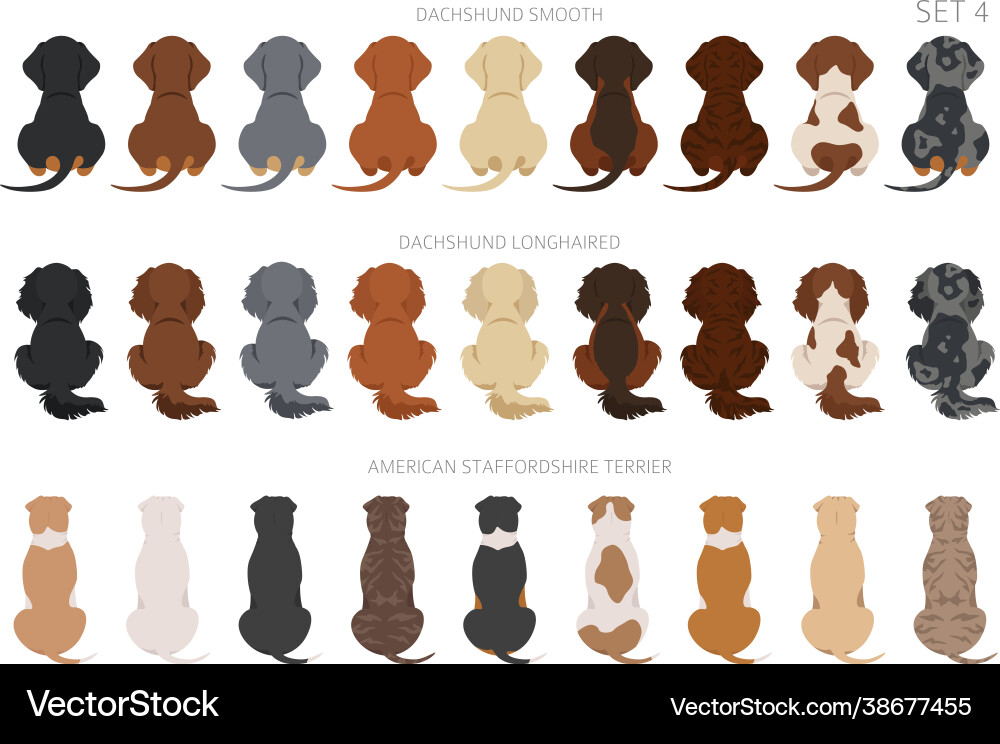 Sitting dogs backside clipart rear view Royalty Free Vector