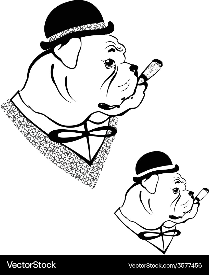 Bulldog Royalty Free Vector Image - VectorStock