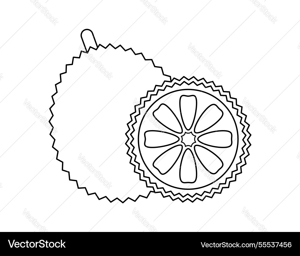 Jackfruit outline for coloring book template jack – Royalty-Free Vector ...