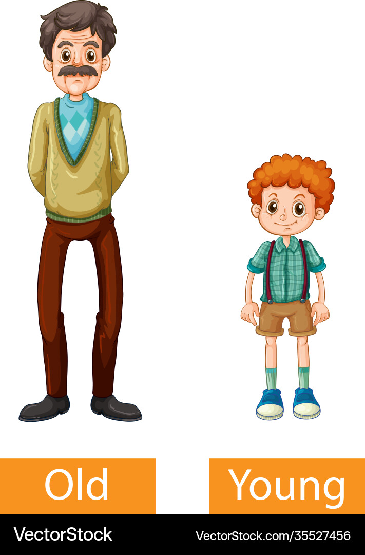 Opposite adjectives words with old and young Vector Image