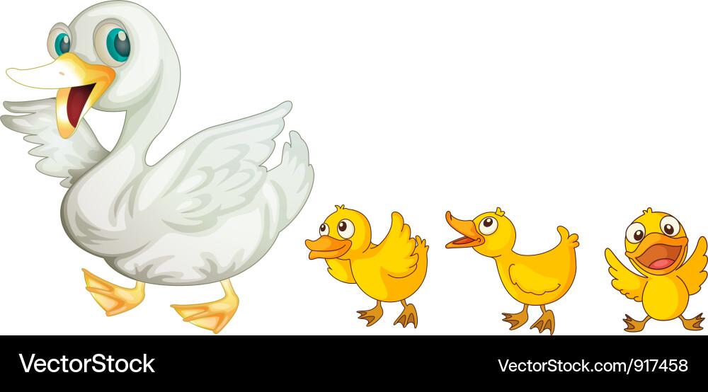 Ducks Royalty Free Vector Image - VectorStock
