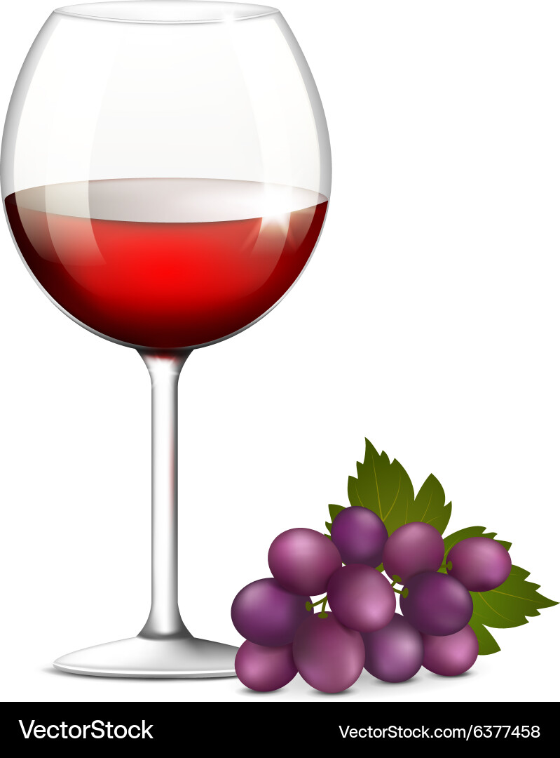 Glass of red wine Royalty Free Vector Image - VectorStock
