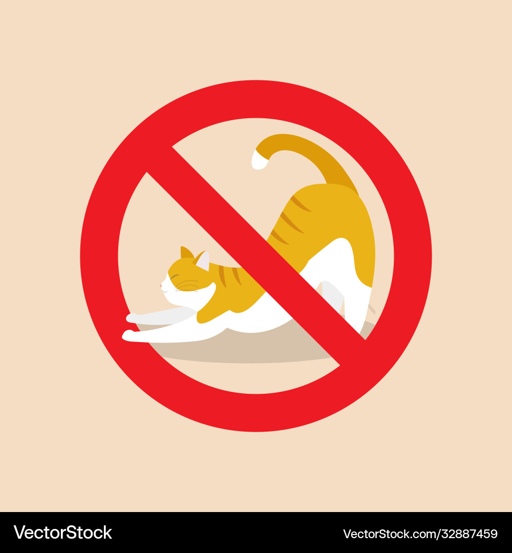 No cat allowed sign Royalty Free Vector Image - VectorStock