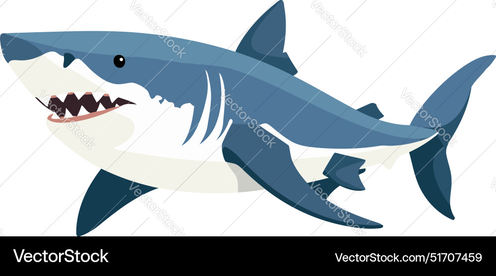 Shark flat Royalty Free Vector Image - VectorStock