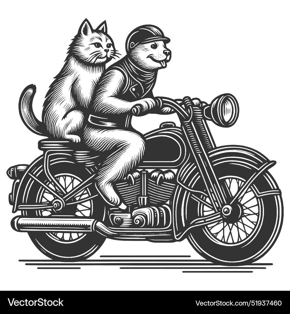 Dog and cat riding motorcycle Royalty Free Vector Image