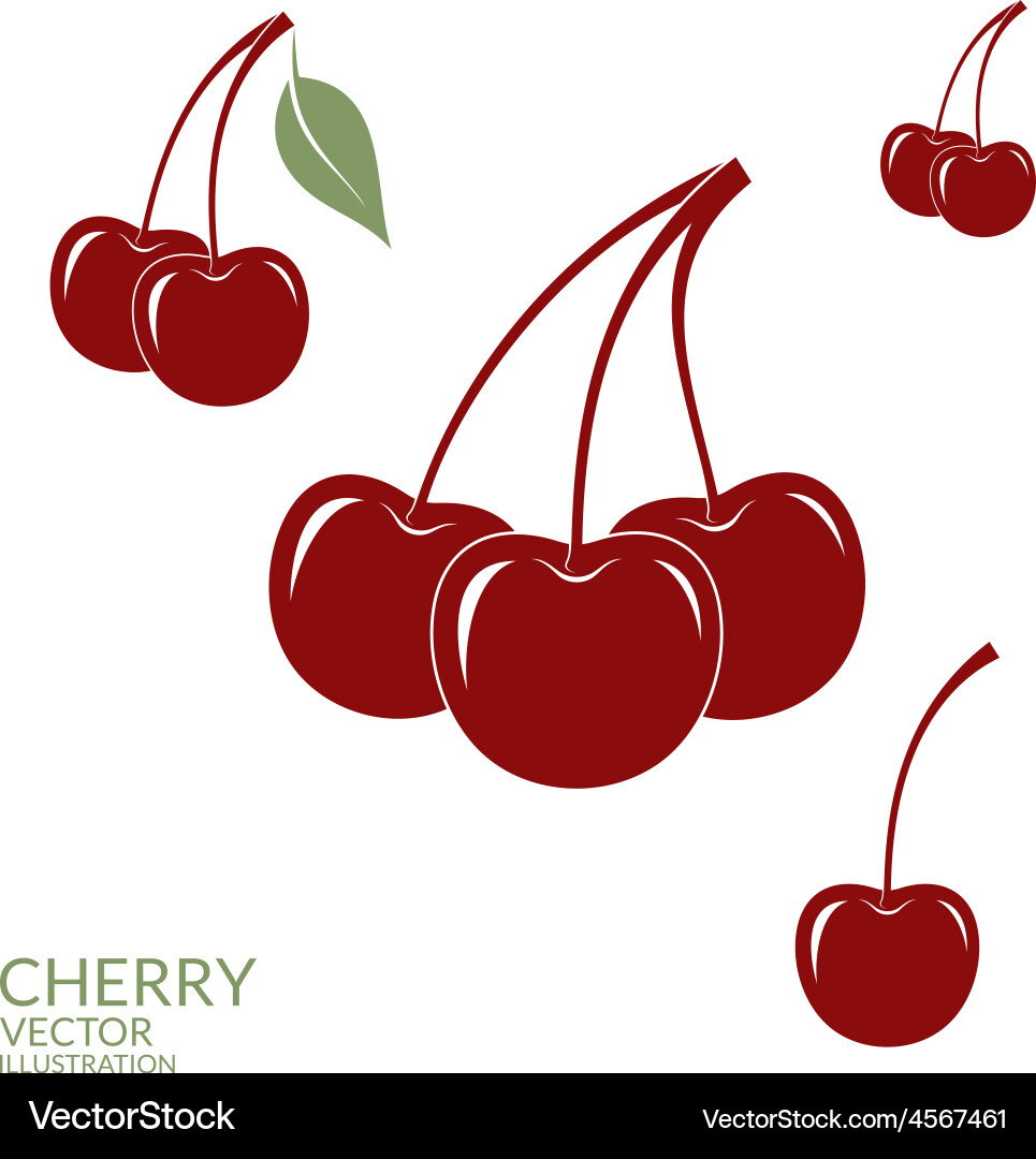 Cherry set Royalty Free Vector Image - VectorStock