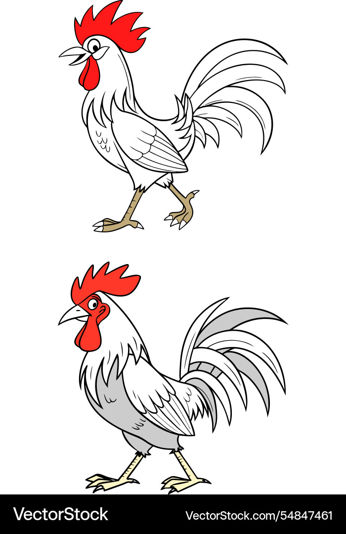 Rooster isolated on white background Royalty Free Vector