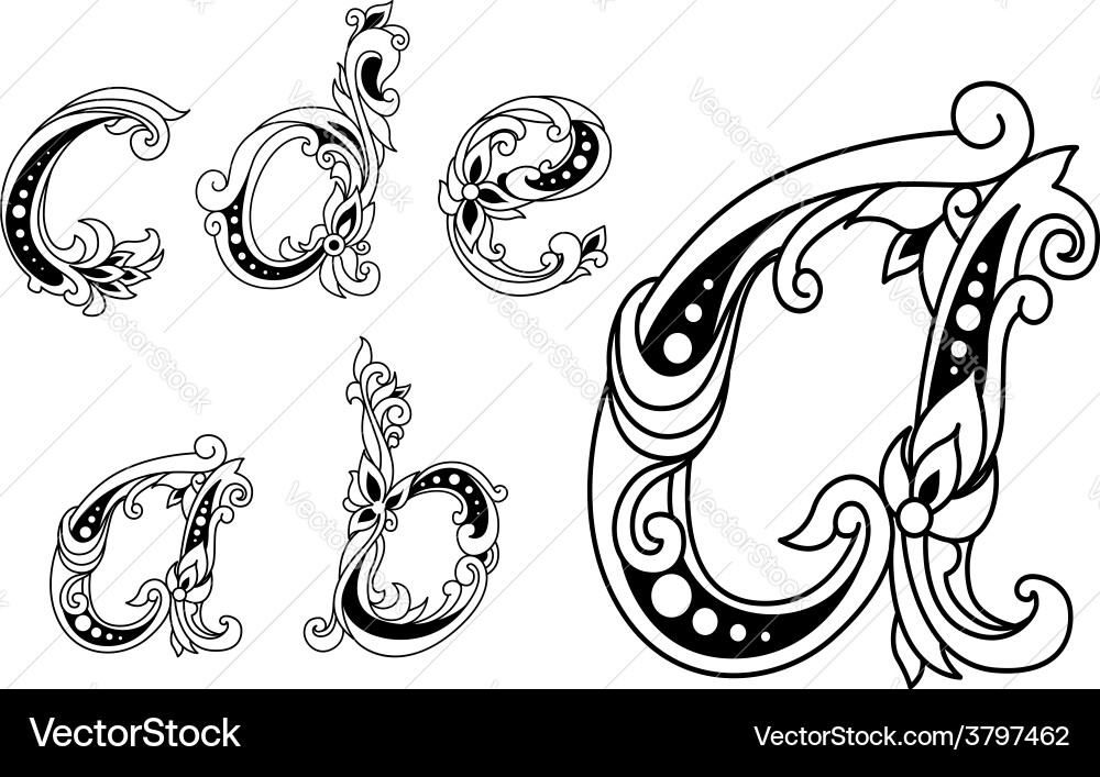 Calligraphic floral lower case alphabet letters Vector Image