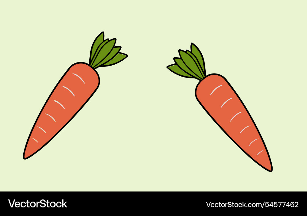 Carrot Royalty Free Vector Image - VectorStock