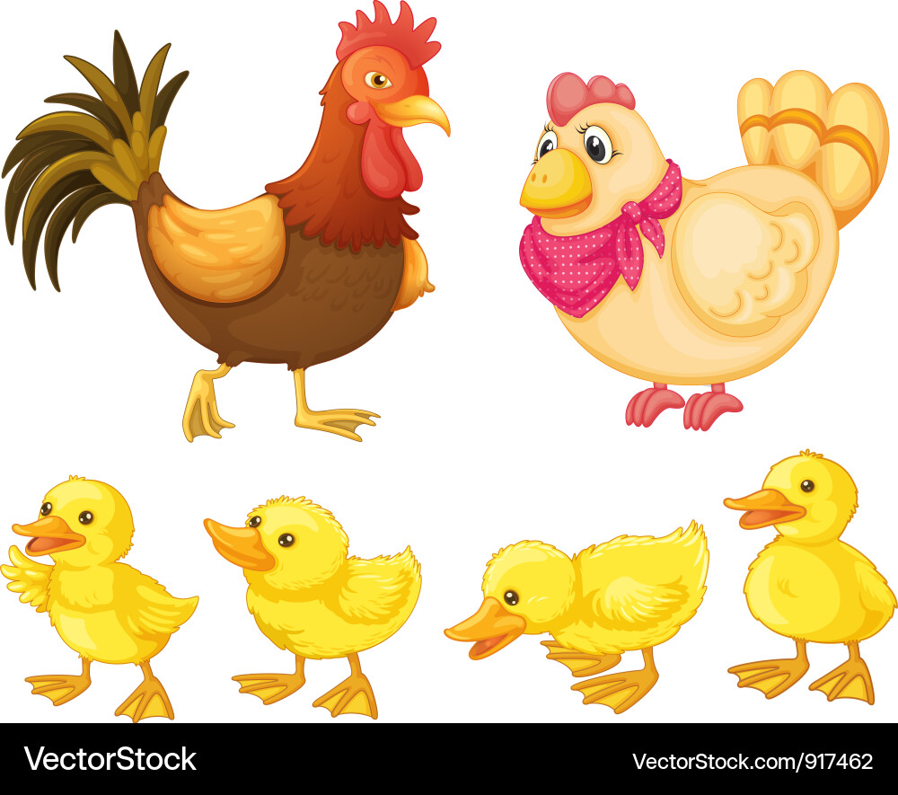 Chicken family Royalty Free Vector Image - VectorStock