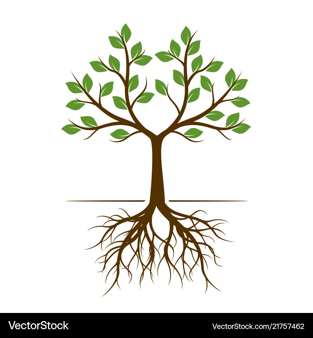 Color shape of tree with roots Royalty Free Vector Image