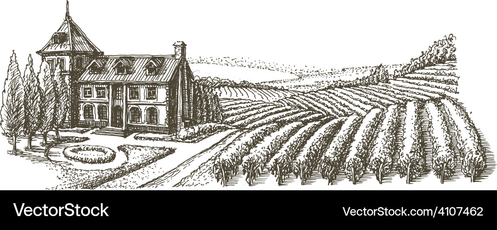 Vineyard logo design template village Royalty Free Vector