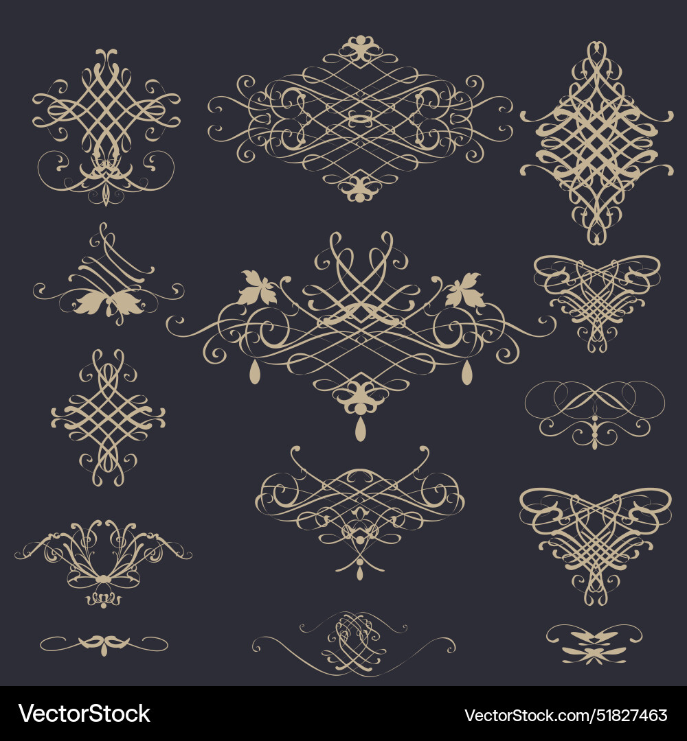 Collection of calligraphic elements florals Vector Image