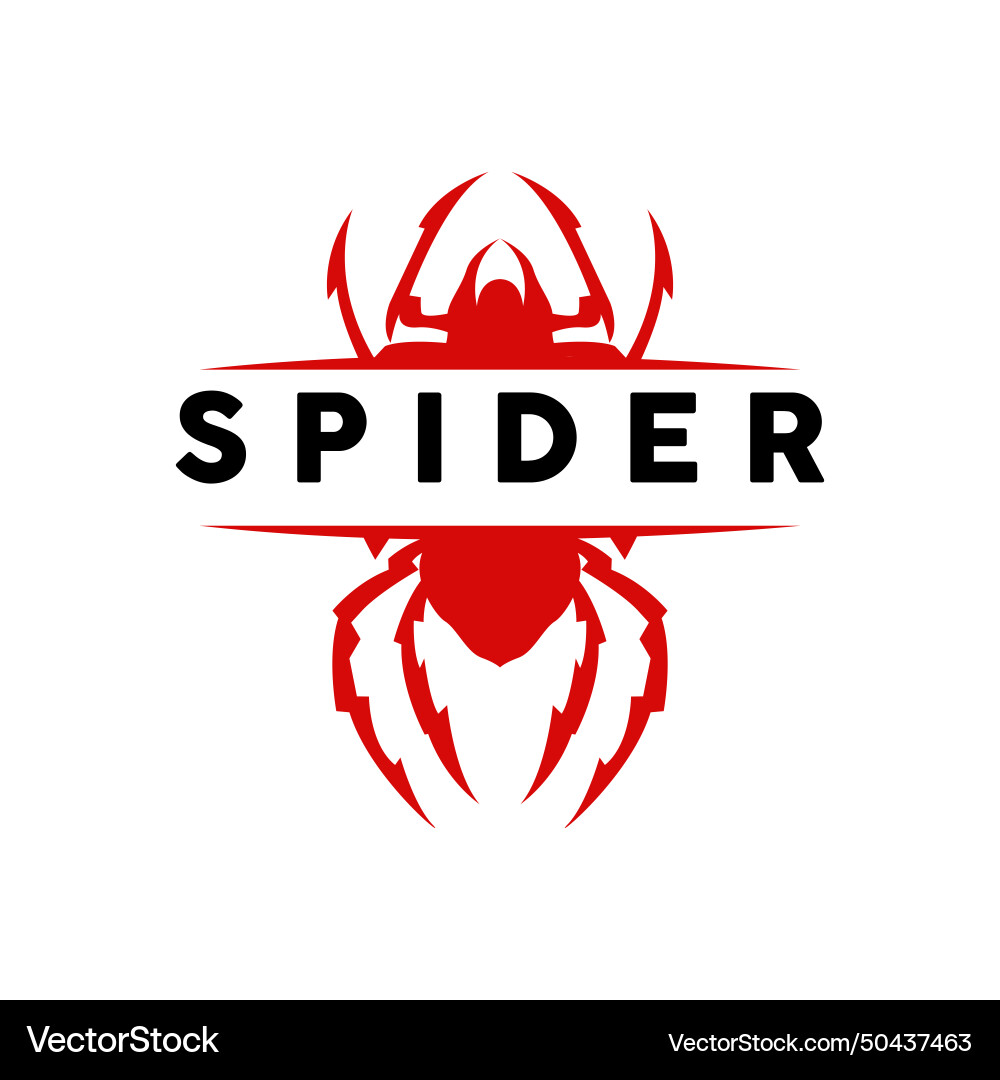 Spider logo animal insect symbol design simple Vector Image