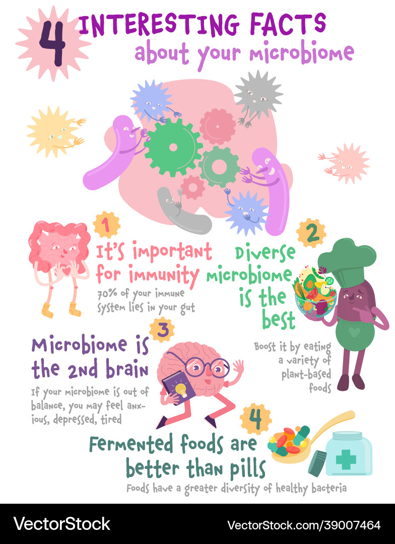 Microbiome Health Infographic Royalty Free Vector Image