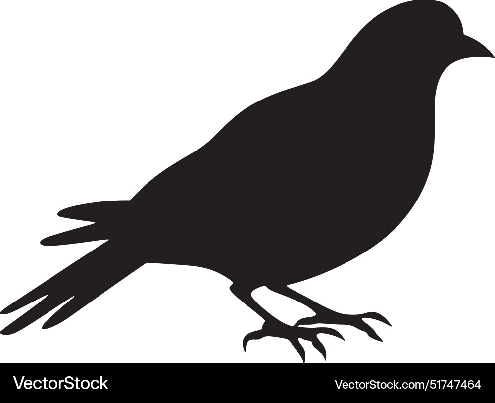 Pigeon - minimalist and flat logo Royalty Free Vector Image