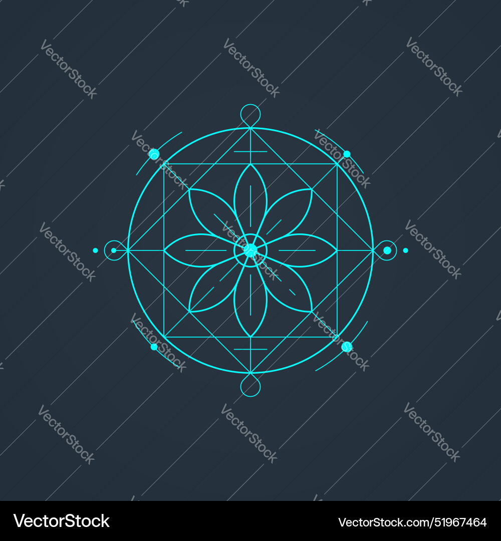 Sacred geometry floral design intricate thin Vector Image