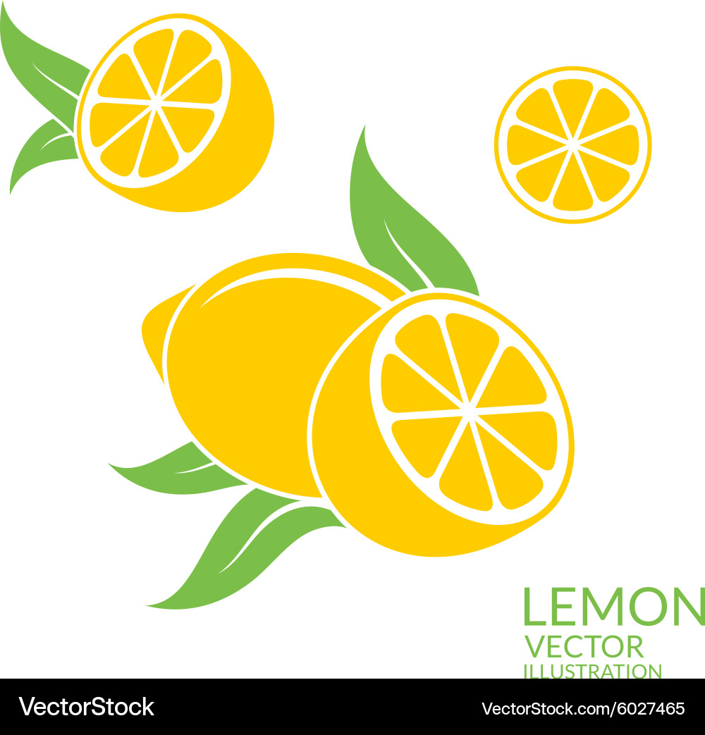 Lemon isolated fruit on white background Vector Image