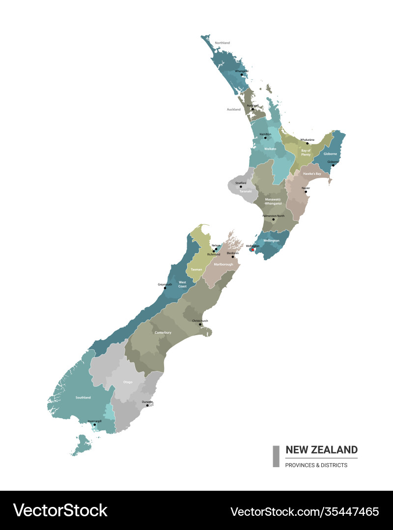 New Zealand Map with Districts Royalty Free Vector Image