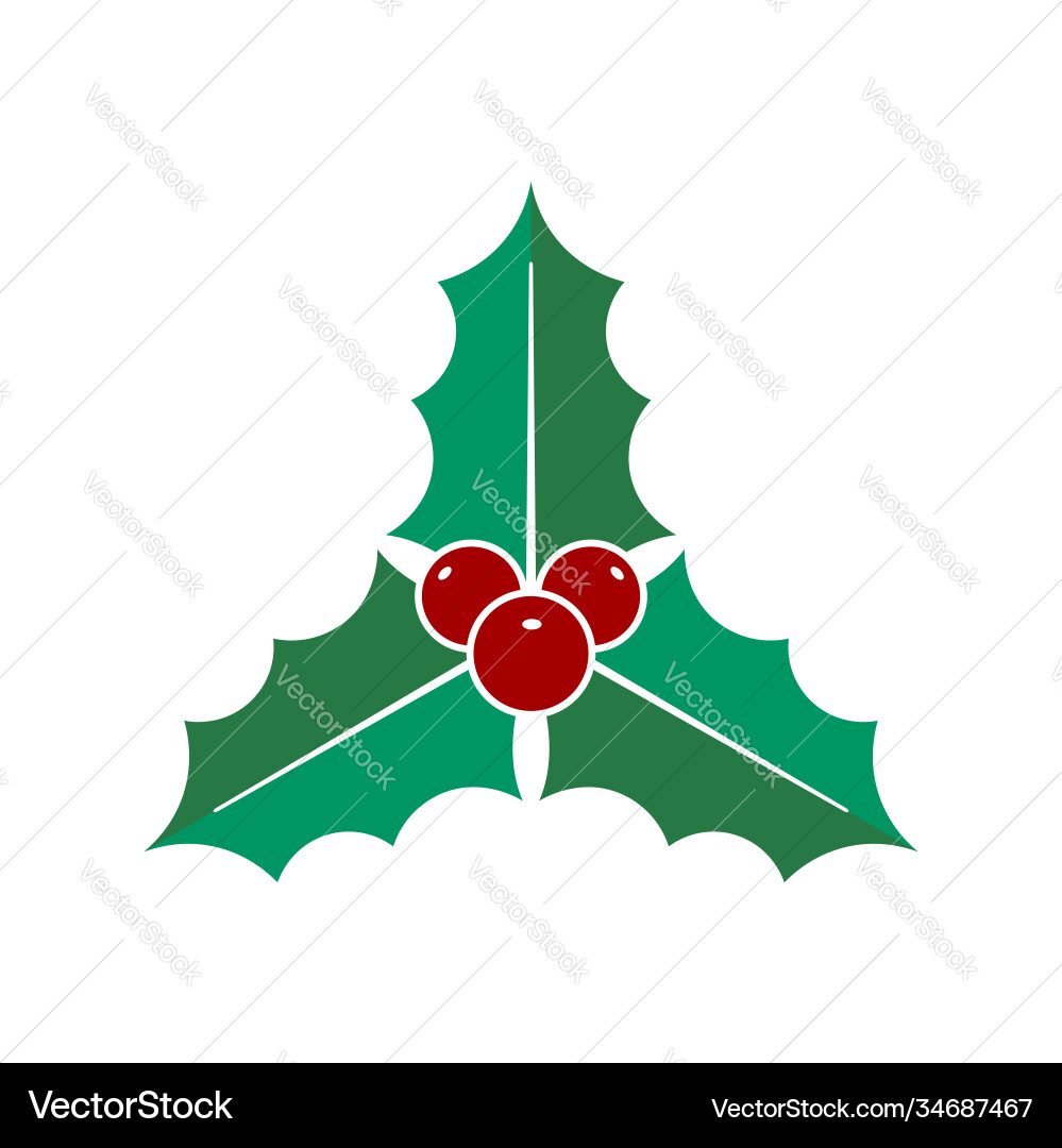 Christmas mistletoe Royalty Free Vector Image - VectorStock