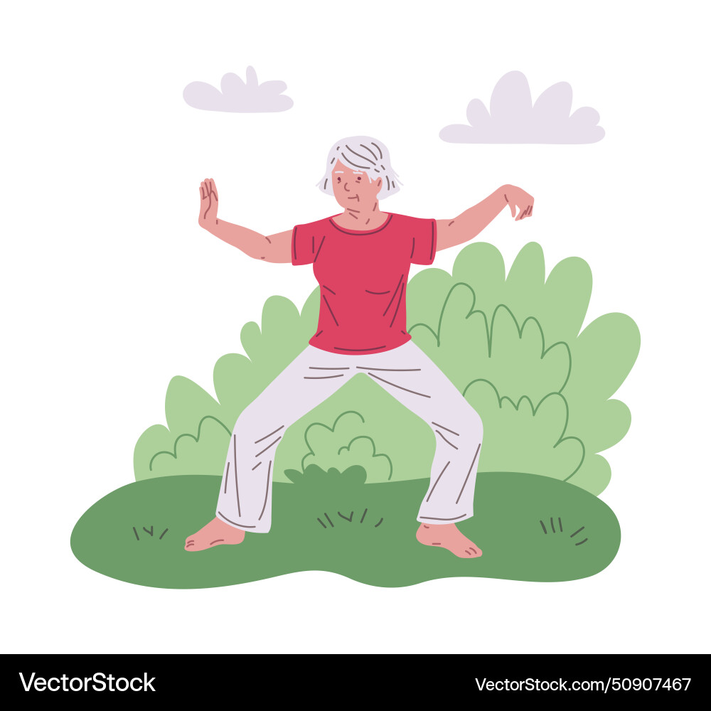 Tai chi chinese gymnastic practice elderly Vector Image