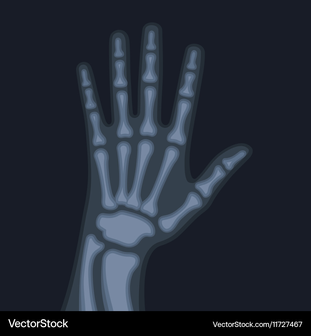 X rays style human hand Royalty Free Vector Image