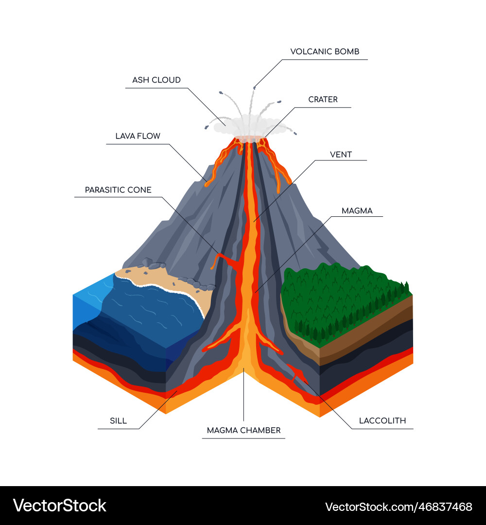 Volcano Anatomy Diagram Vector Illustration Stock Volcano Diagram