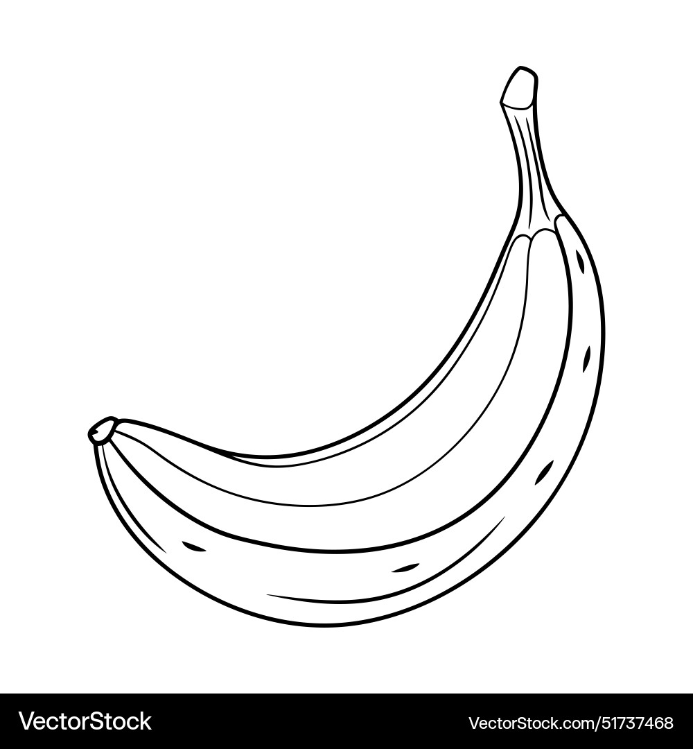 Banana line art Royalty Free Vector Image - VectorStock