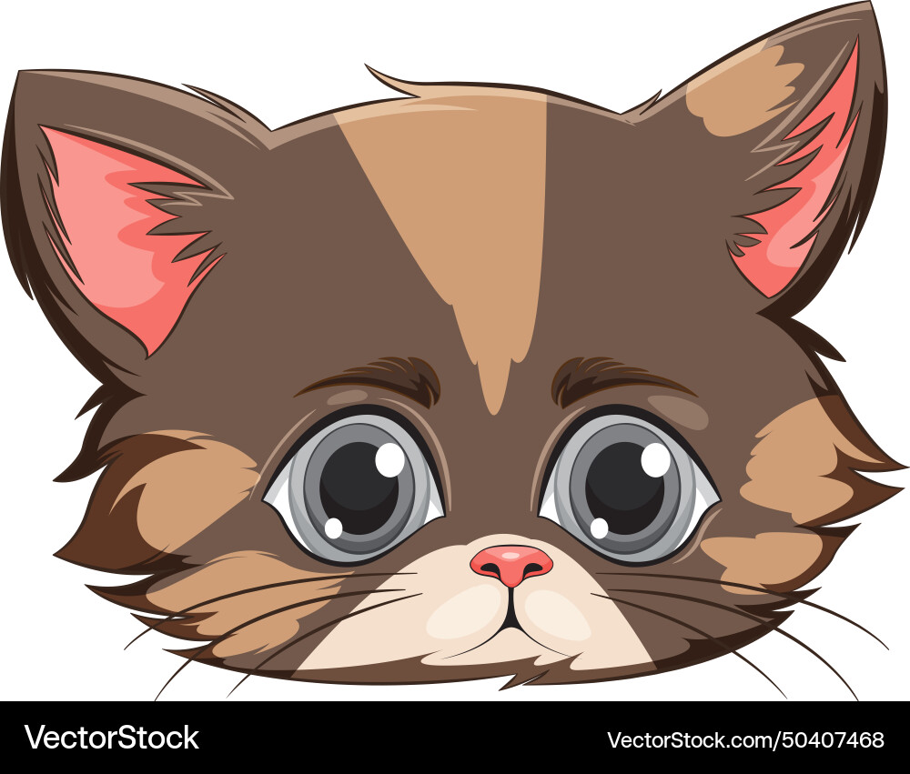 Cute of a brown kittens face Royalty Free Vector Image