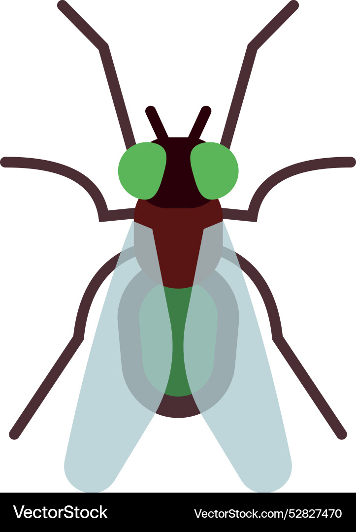 Fly color icon pest symbol wild insect Royalty Free Vector