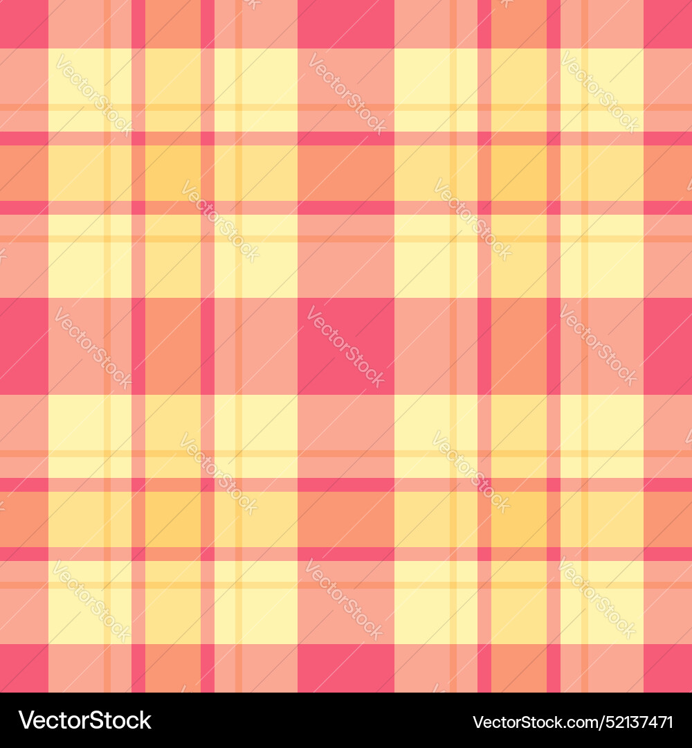 Smooth background pattern plaid lady texture Vector Image
