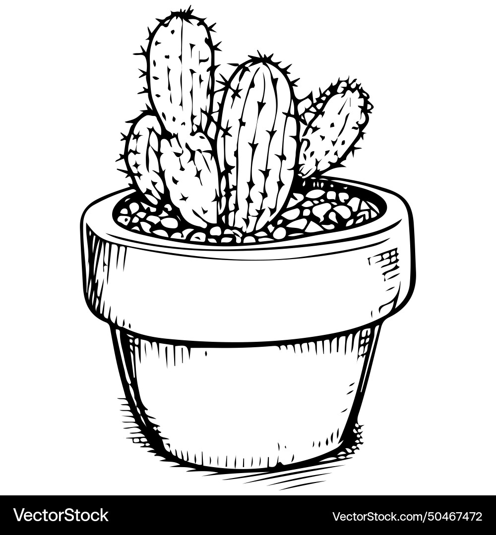 Hand drawn sketched outline cactus silhouette Vector Image