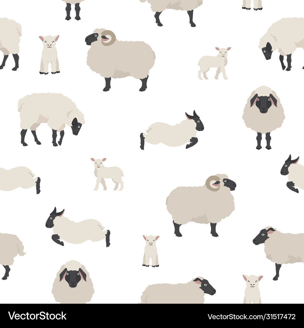 Sheep poses seamless pattern farm animals set Vector Image