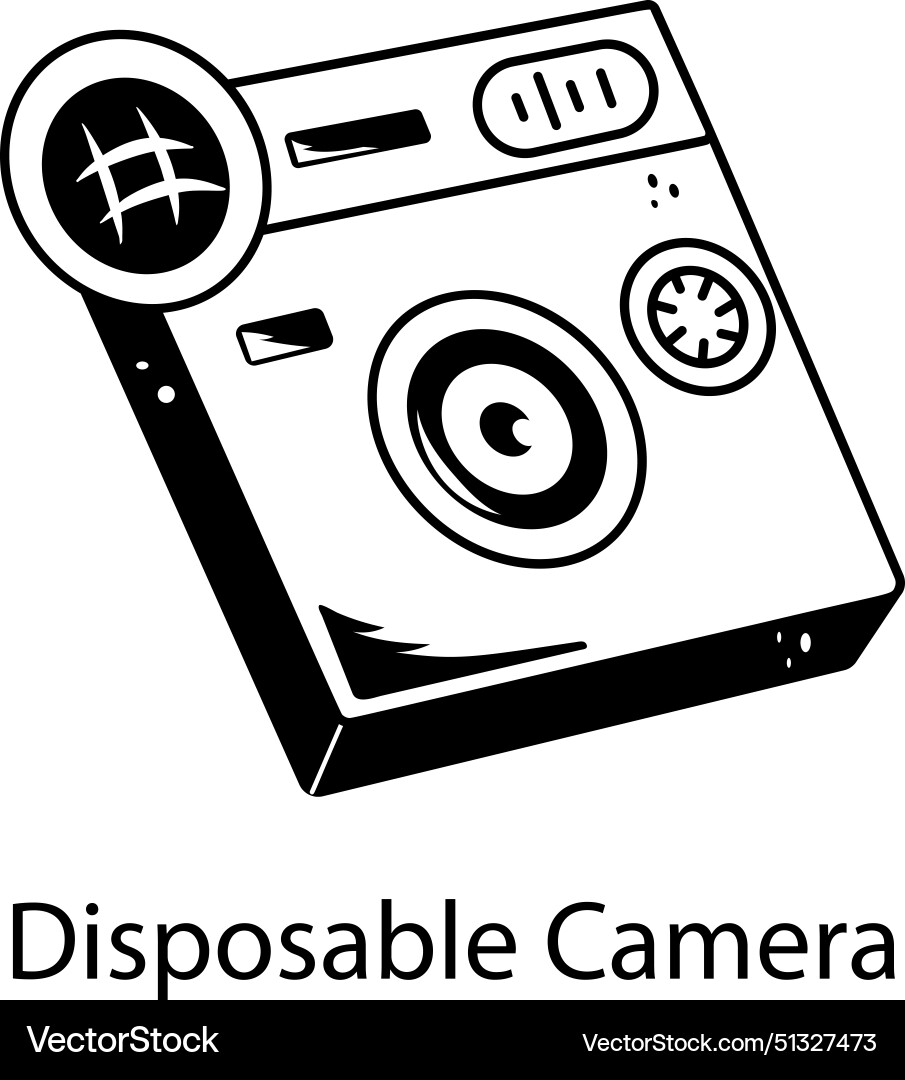 Disposable camera Royalty Free Vector Image - VectorStock