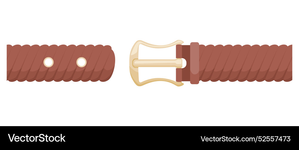 Leather belts with buckle isolated on white Vector Image