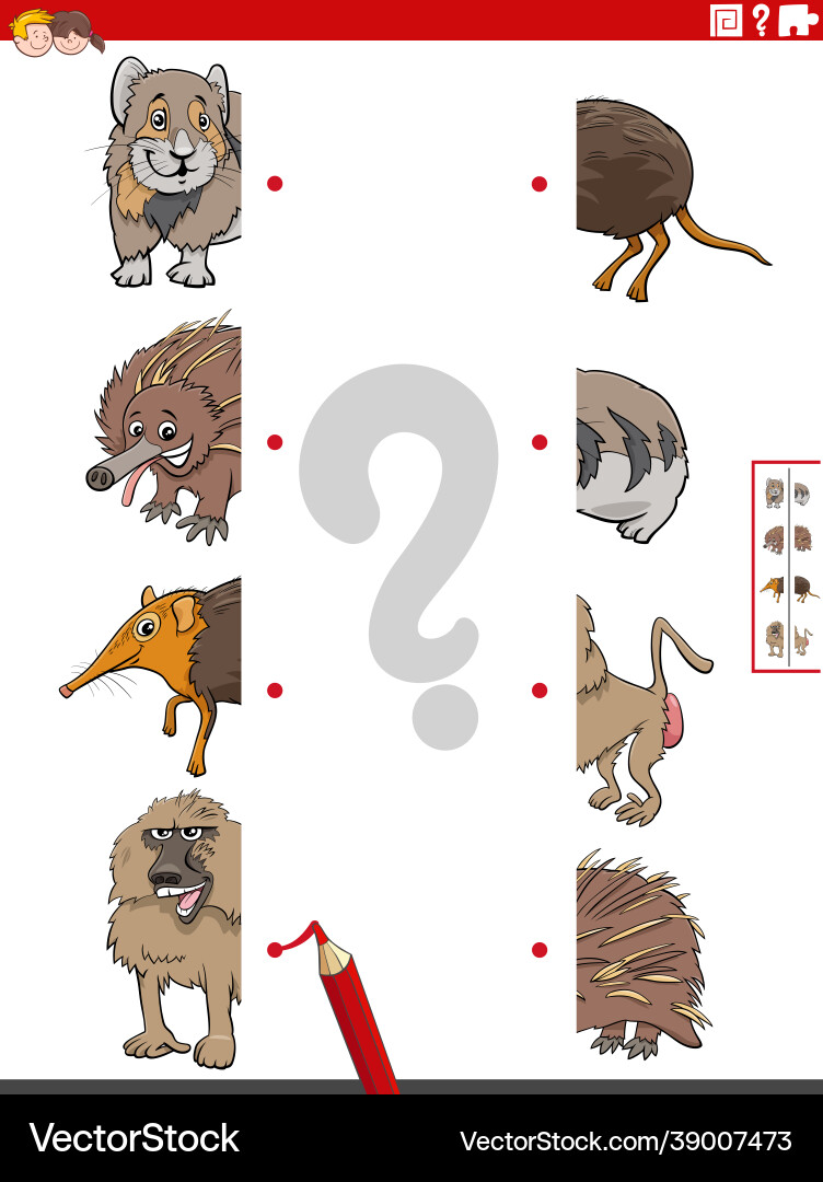 Match halves pictures with animals educational Vector Image