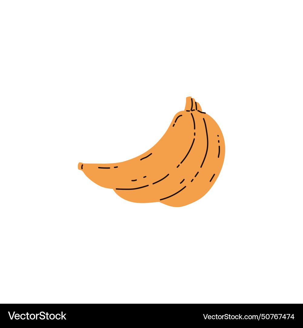 Bunch of bananas flat tropical fresh fruit Vector Image