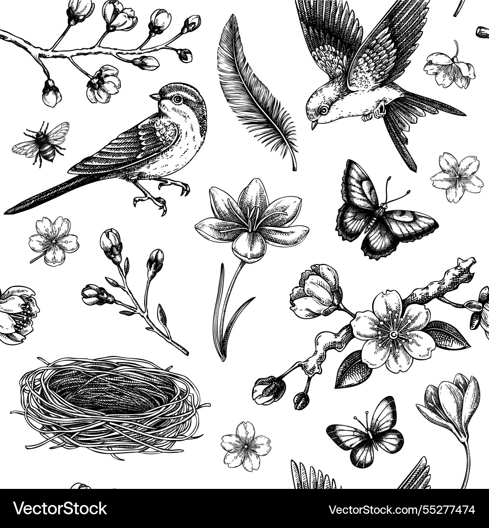 Spring background flying birds sakura flowers Vector Image