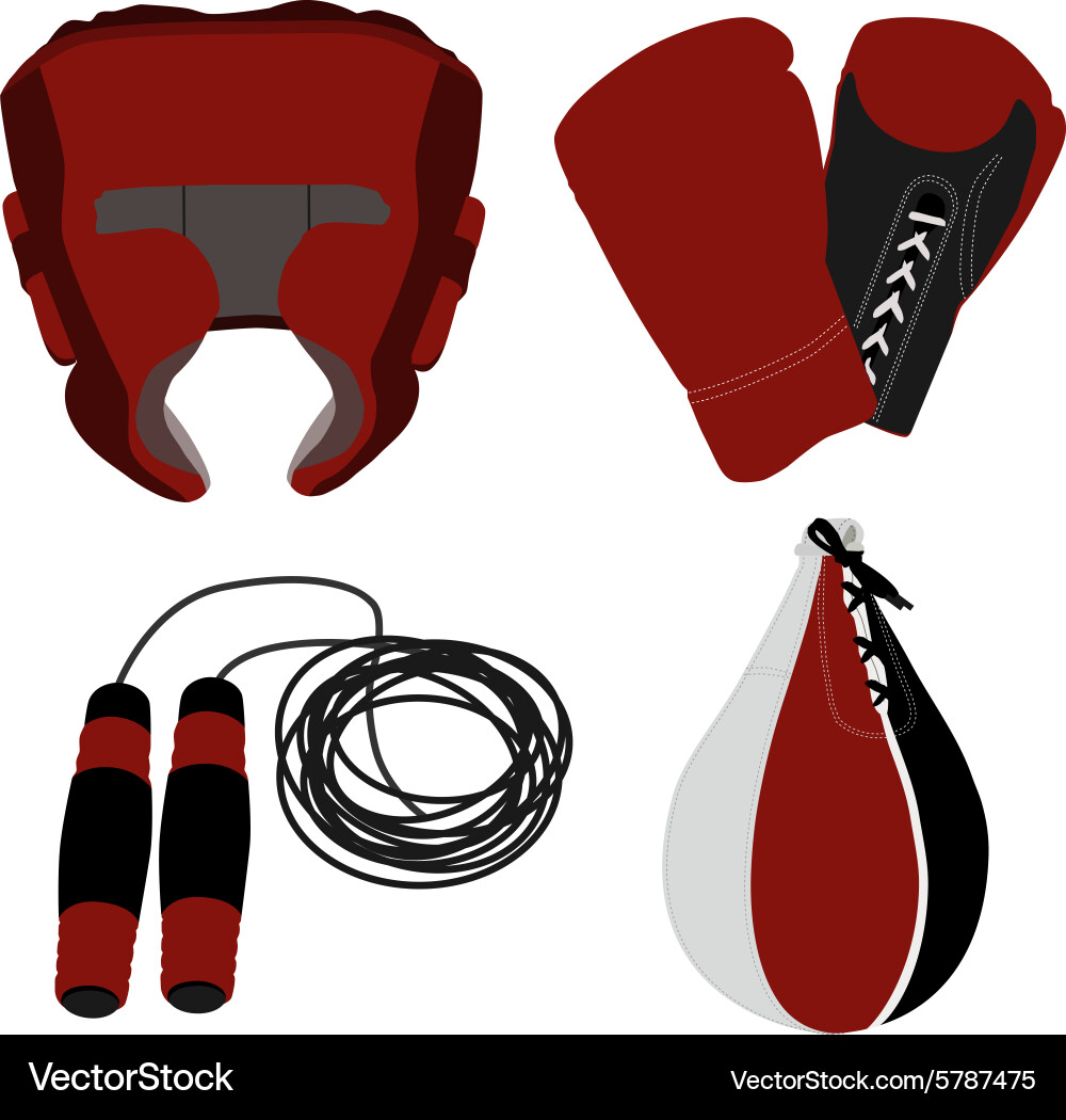 Boxing items Royalty Free Vector Image - VectorStock