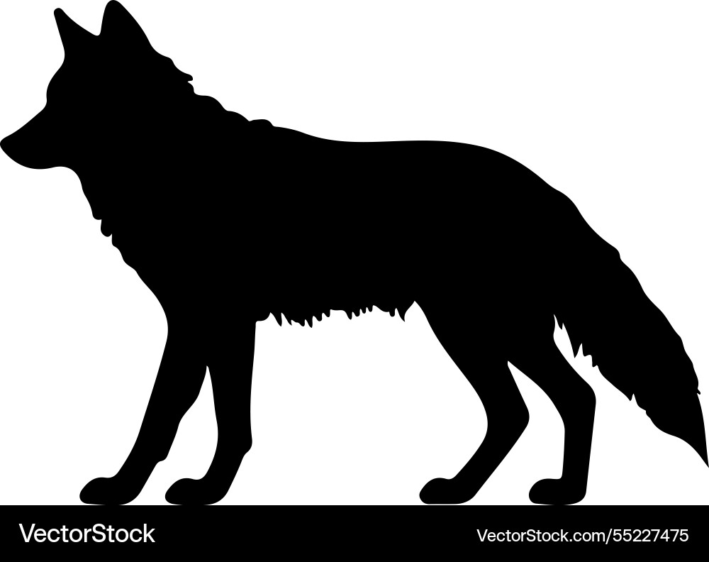Coyote silhouette Royalty Free Vector Image - VectorStock
