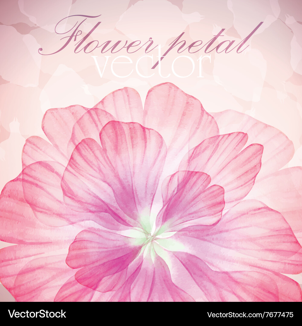 Watercolor drawing Royalty Free Vector Image - VectorStock