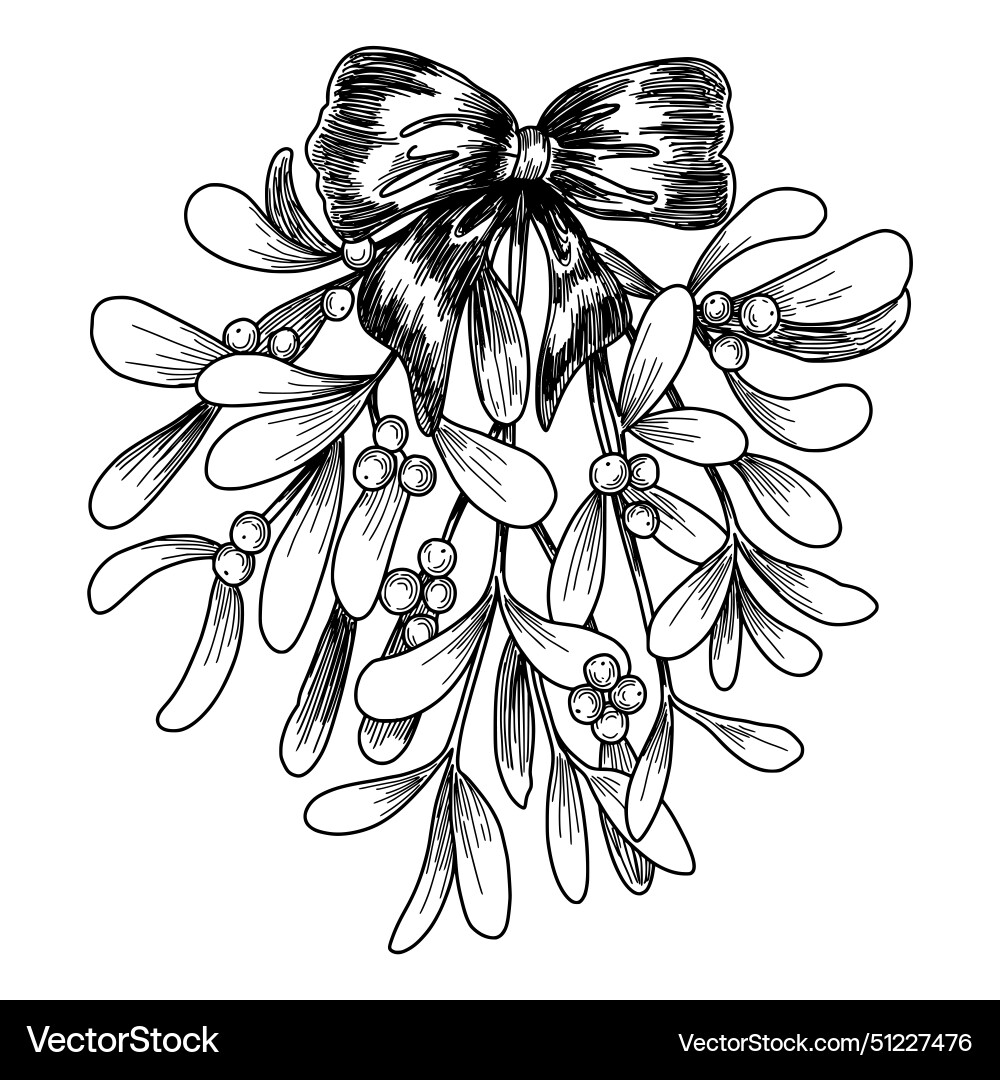 Hand drawn mistletoe kissing bough with bow Vector Image