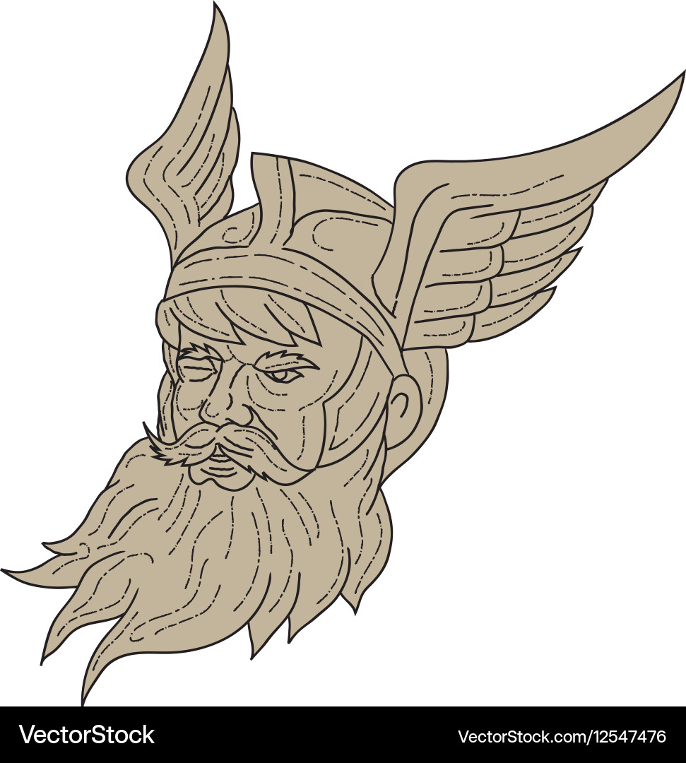 Norse god odin head drawing Royalty Free Vector Image
