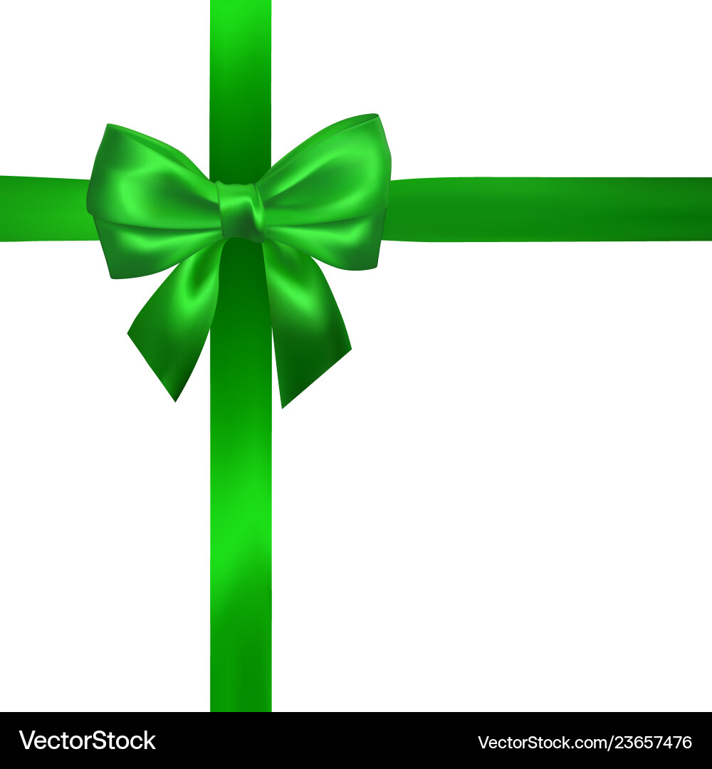 Realistic green bow with ribbons isolated Vector Image