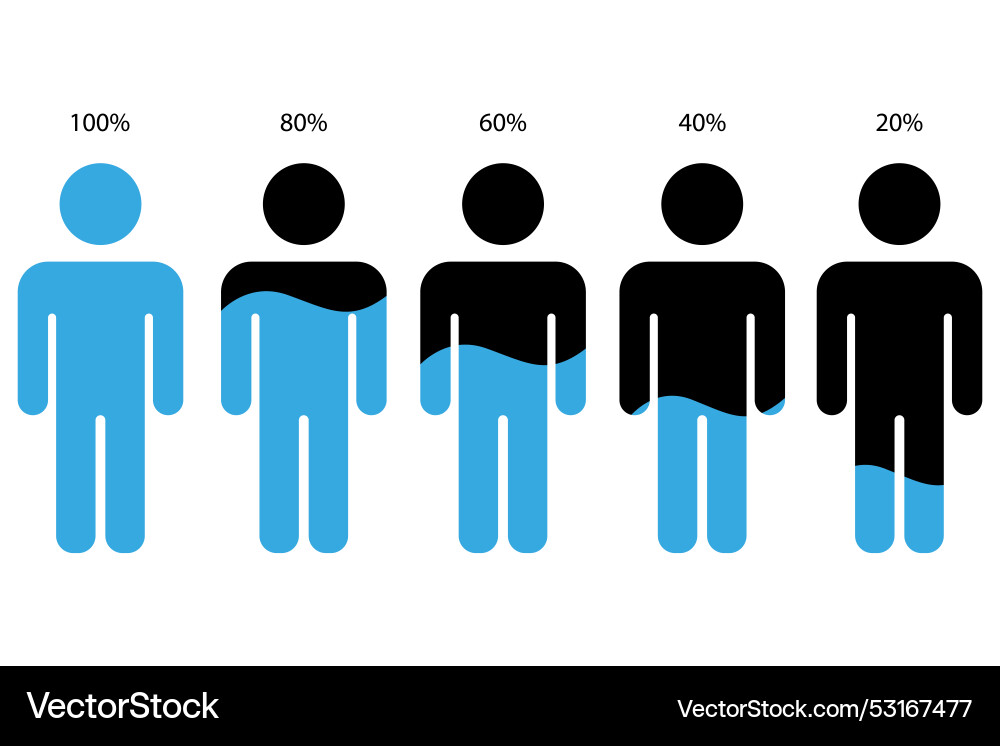 Body hydration silhouettes water content levels Vector Image