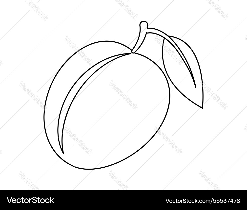 Apricot outline for coloring book template Vector Image