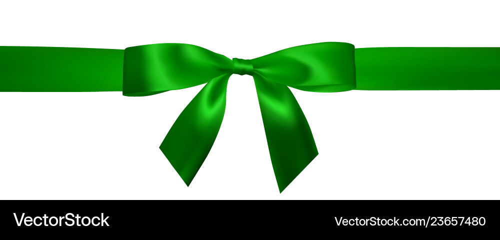 Realistic green bow with horizontal ribbons Vector Image