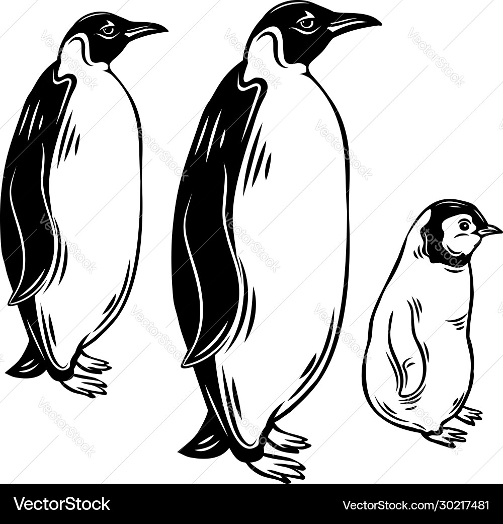 Penguin outline icons Royalty Free Vector Image