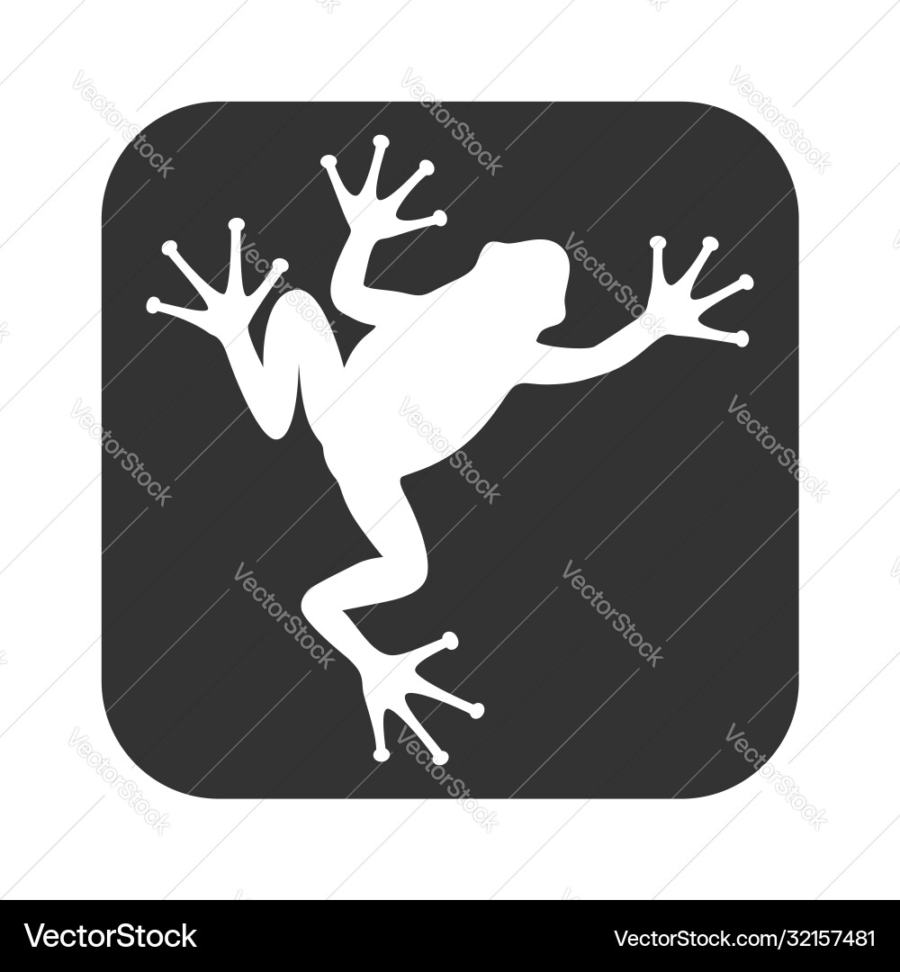 Tree frog Royalty Free Vector Image - VectorStock