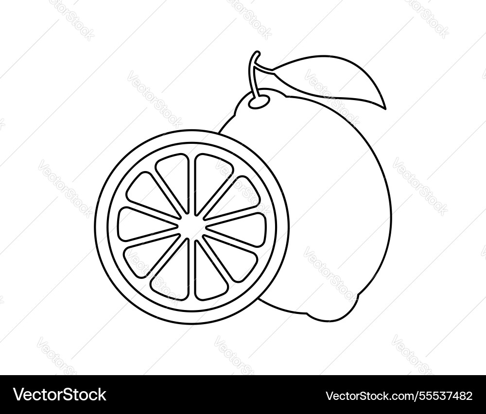 Lemon outline for coloring book template Vector Image